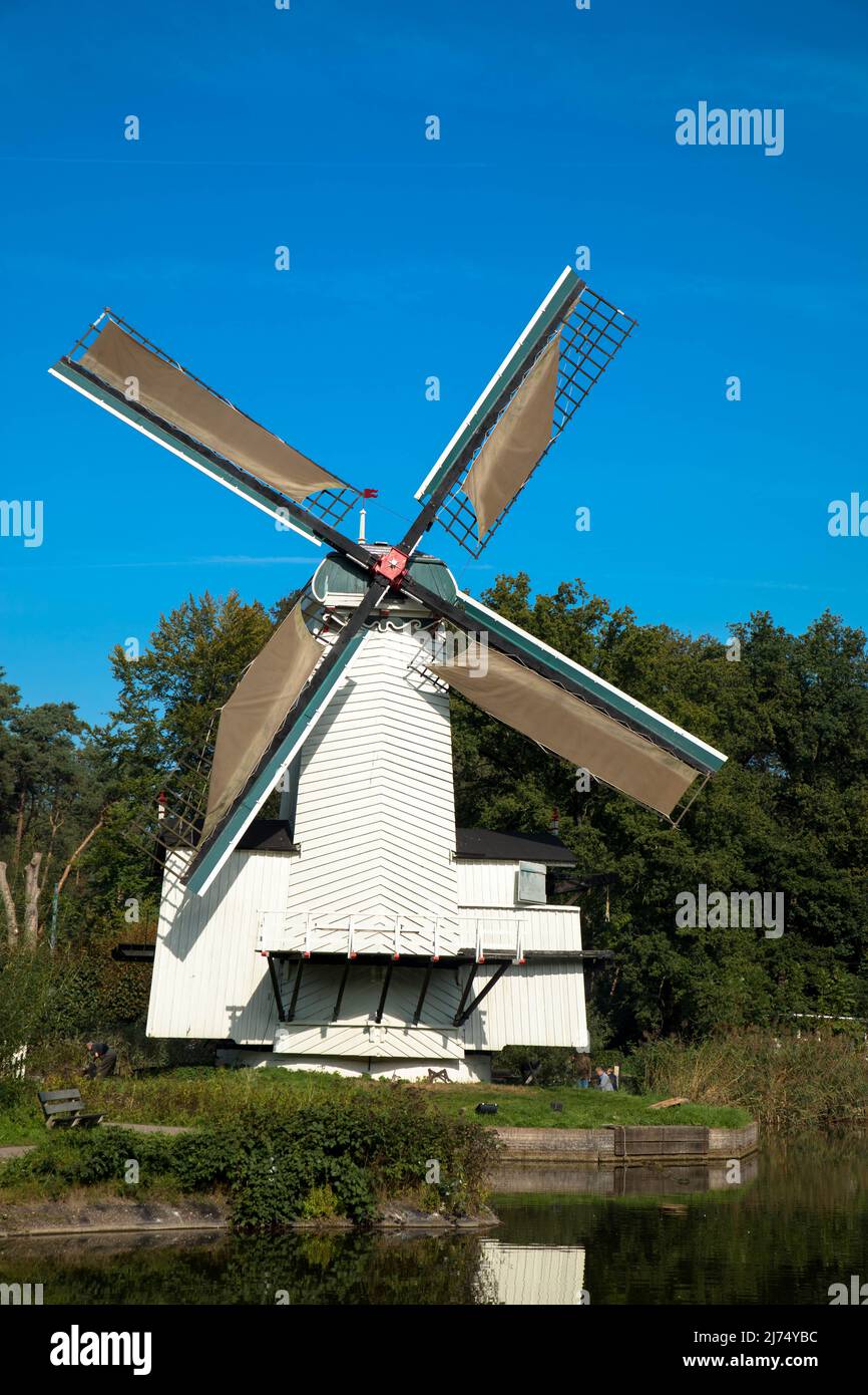Historical traditional dutch windmill in summer. Arnhem, Provinz ...