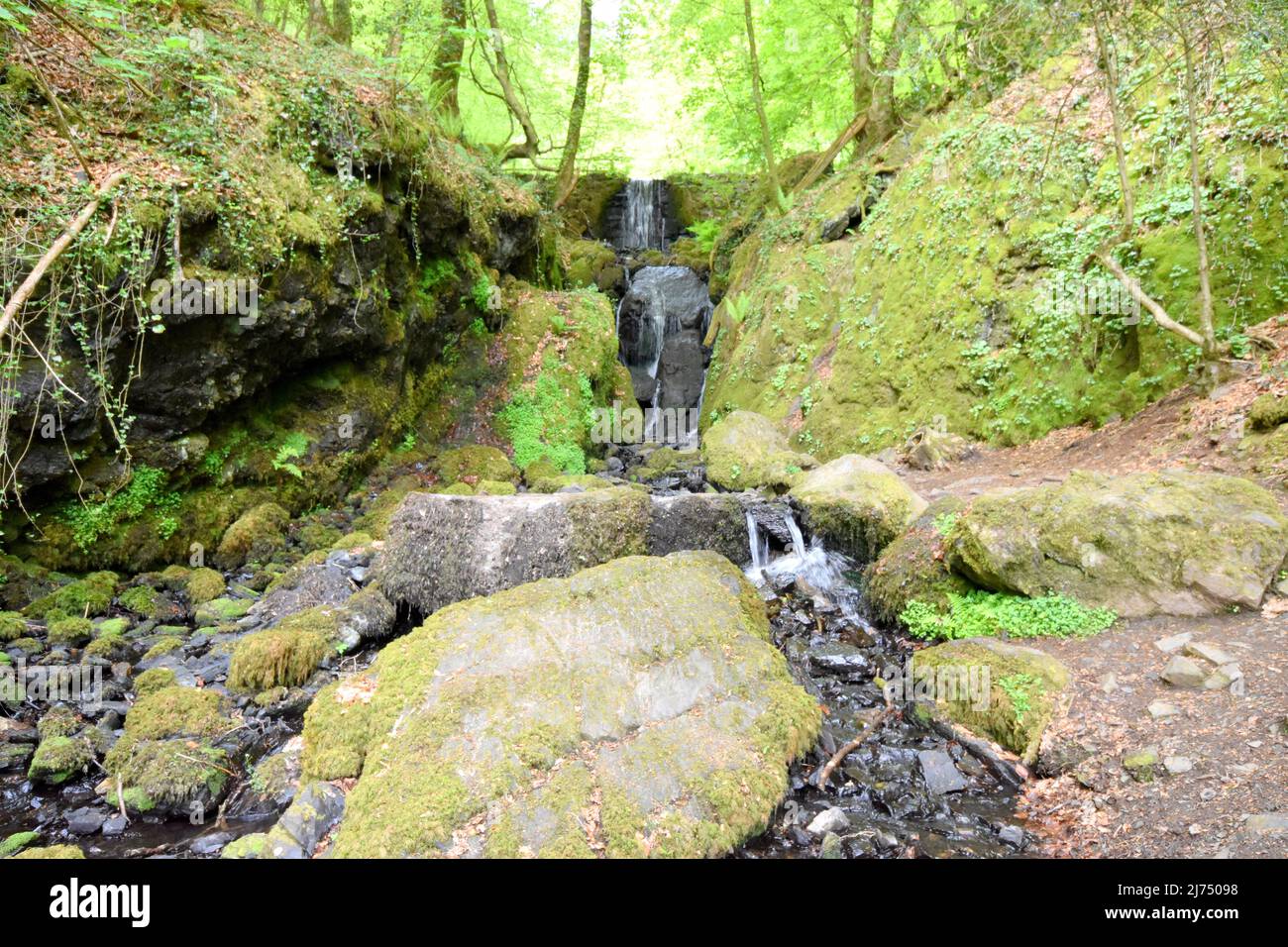 Meandering at Canonteign Falls in the Teign Valley Stock Photo - Alamy