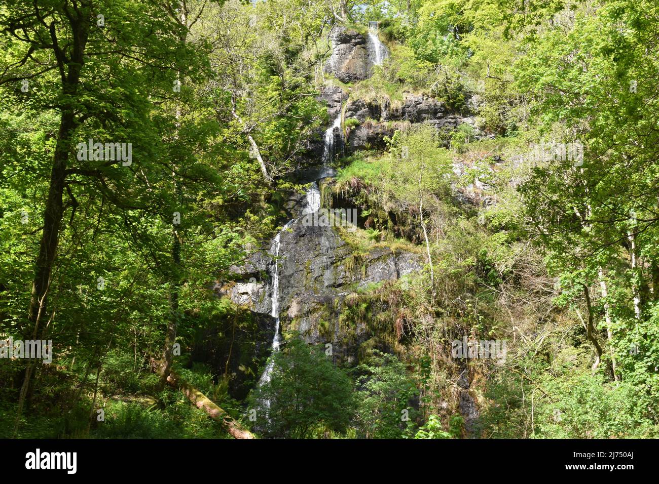 Meandering at Canonteign Falls in the Teign Valley Stock Photo - Alamy