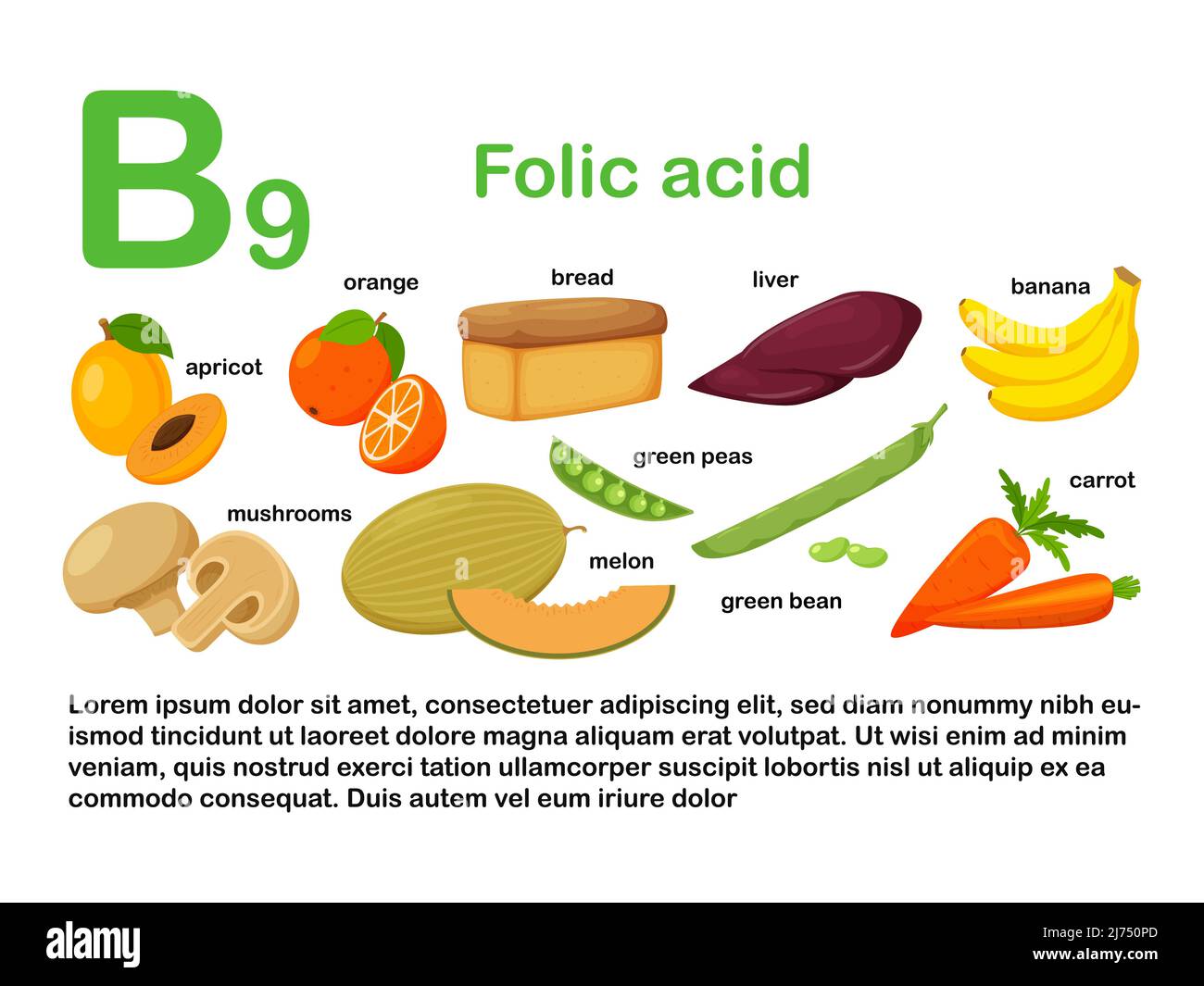 Folic Acid Foods
