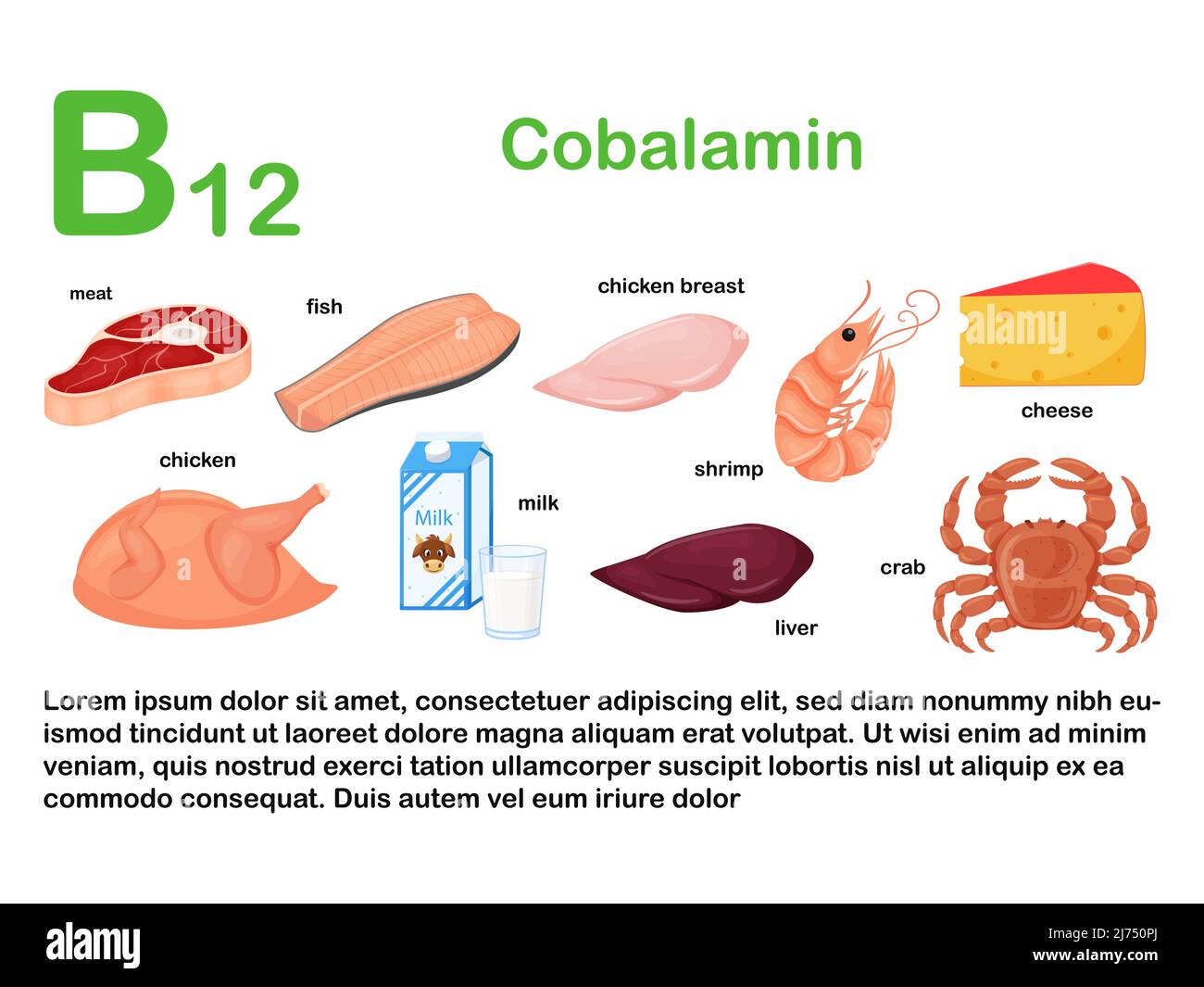 Rectangular poster with food products containing vitamin B12. Cobalamin ...