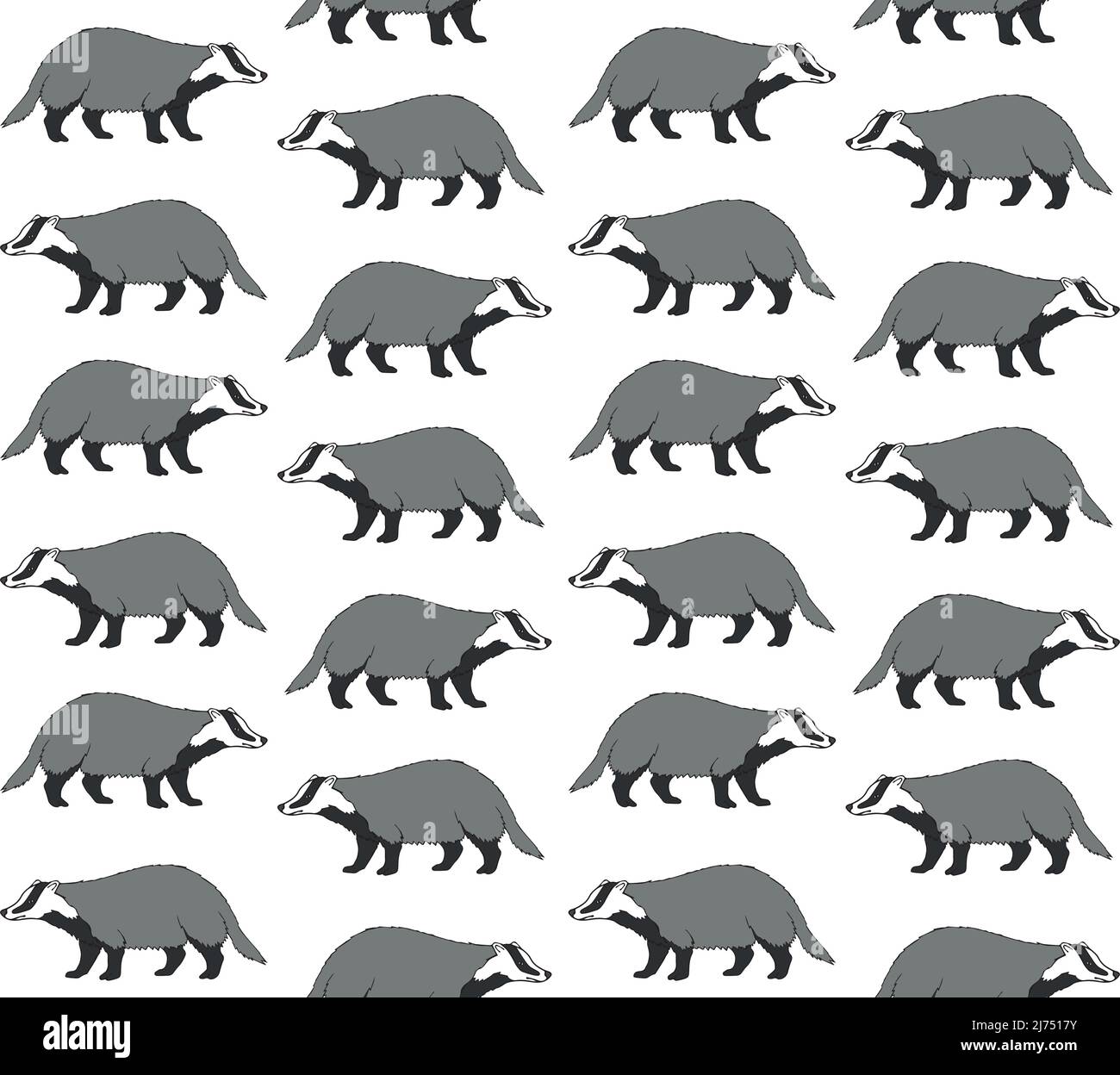 Vector seamless pattern of hand drawn doodle sketch colored badger ...