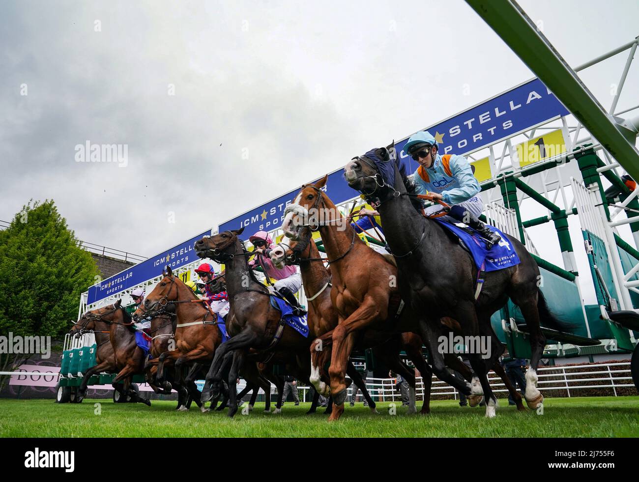 Starting gates horse hi-res stock photography and images - Alamy