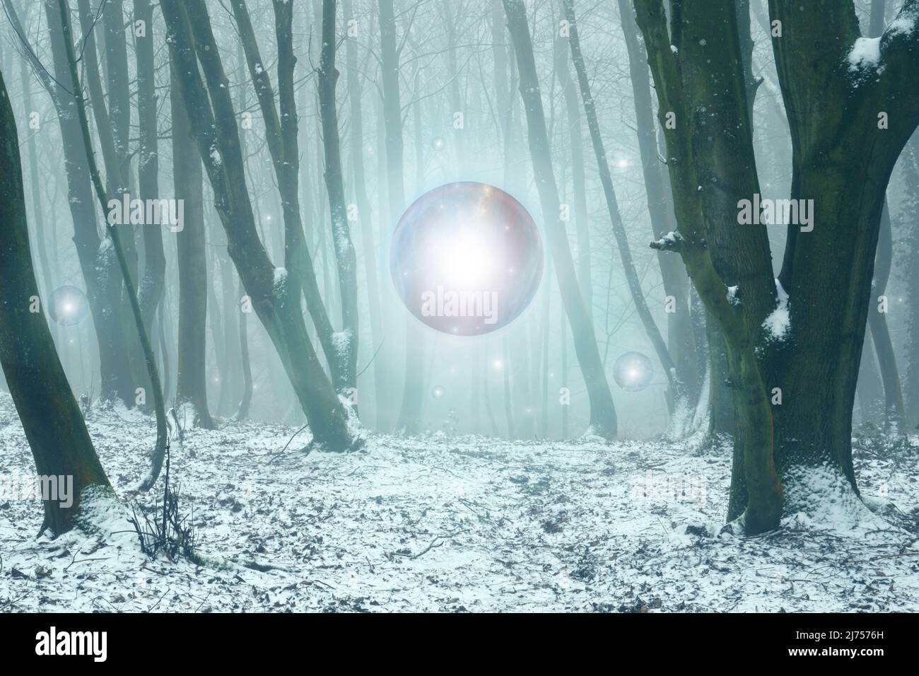 magical glowing orbs of light floating in a forest. In a mysterious ...