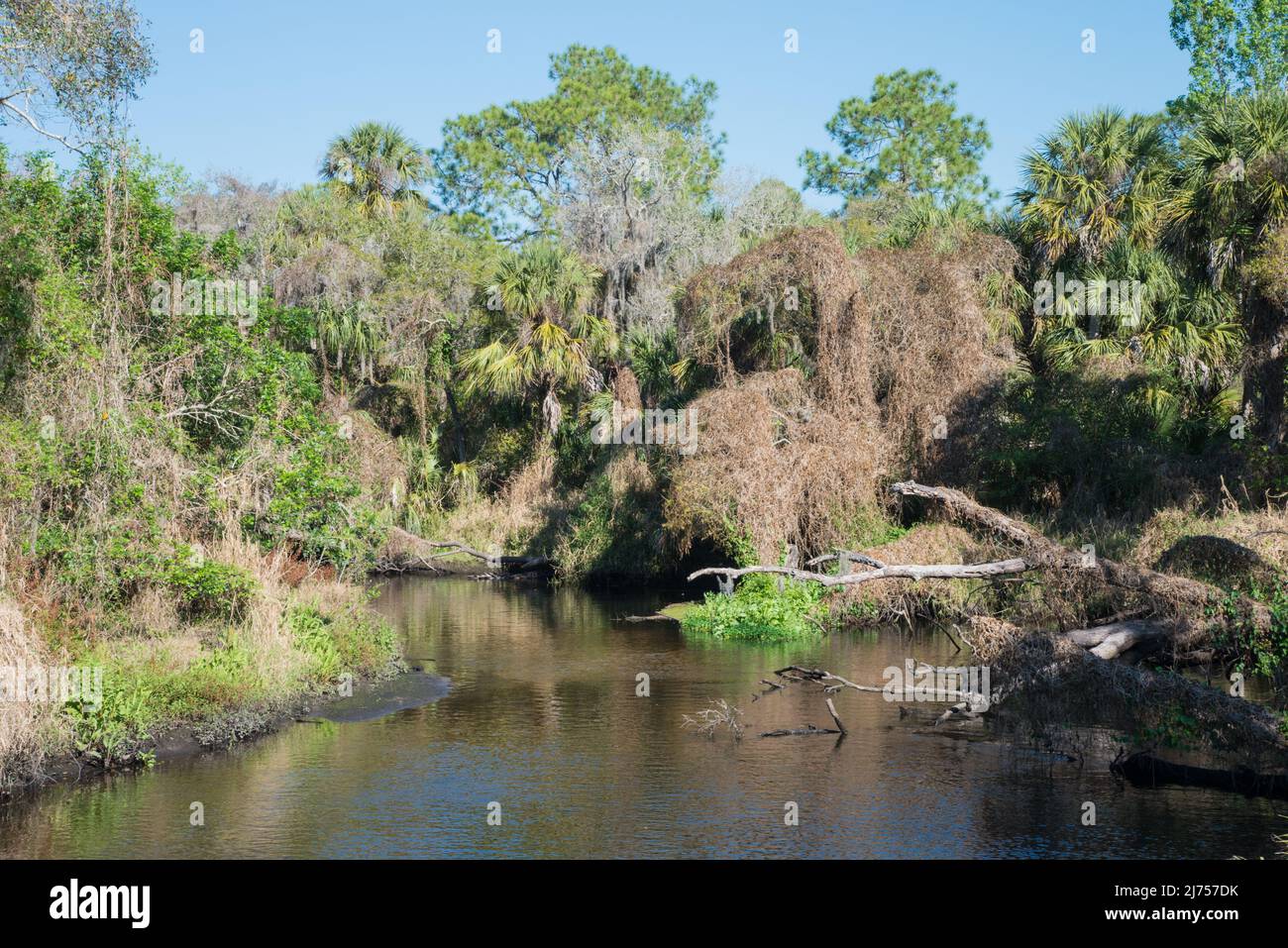 The Little Manatee River flows in the Little Manatee River State Park ...