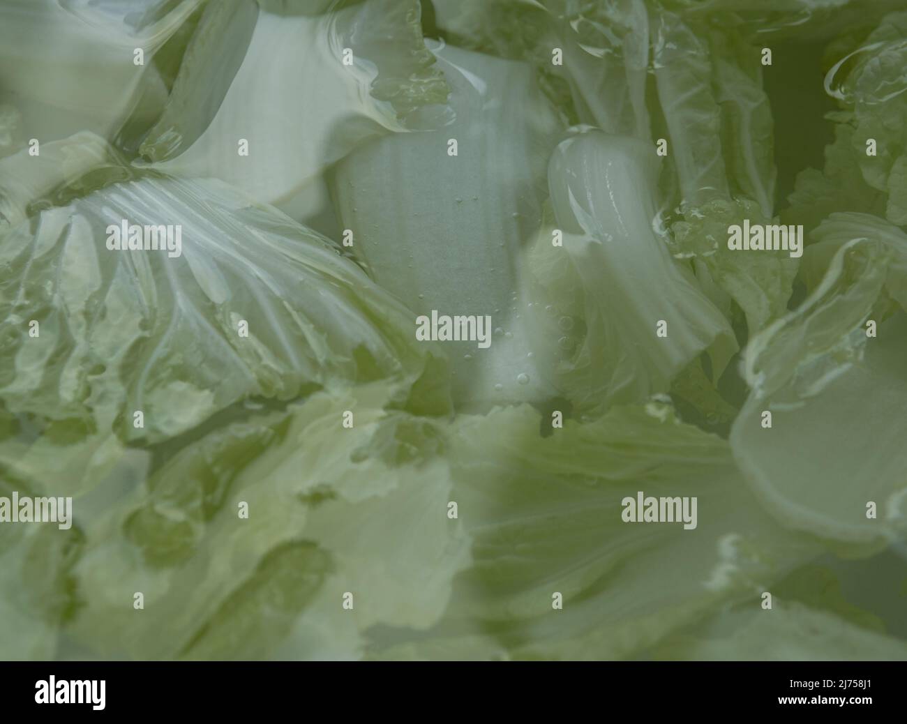 Cut into pieces White cabbage soaked in water Stock Photo - Alamy