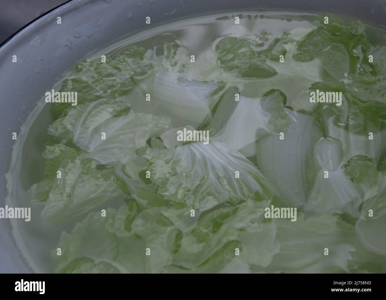 Cut into pieces White cabbage soaked in water Stock Photo - Alamy