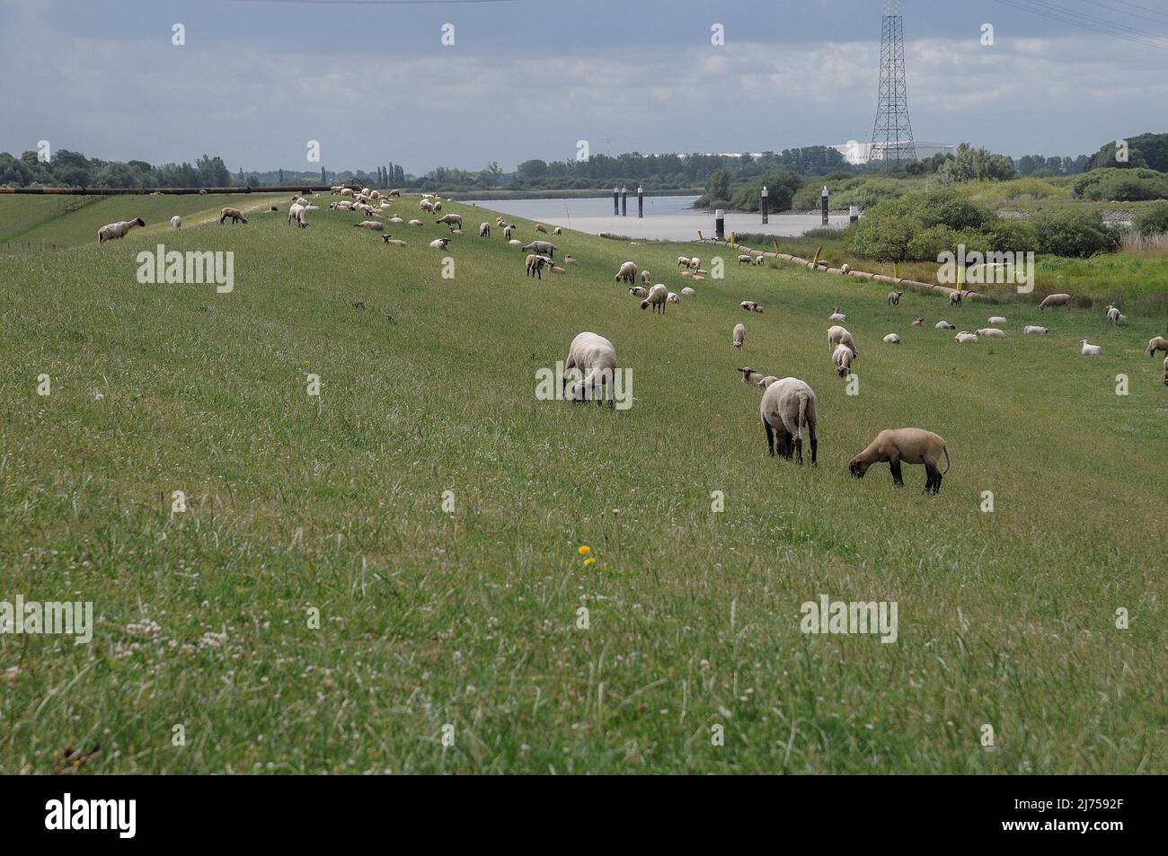 Weener and the river ems in germany Stock Photo - Alamy