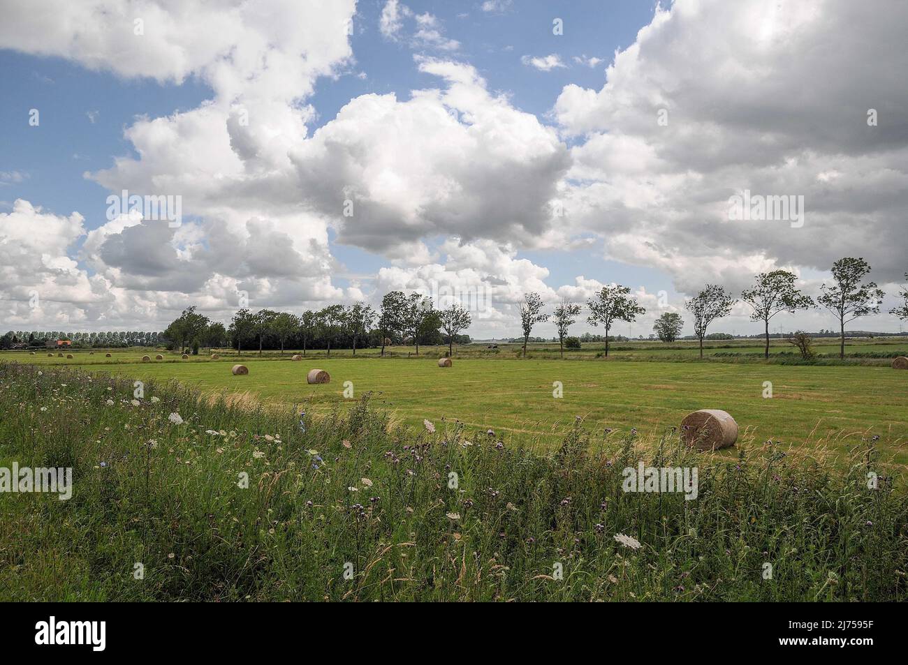 Weener and the river ems in germany Stock Photo - Alamy