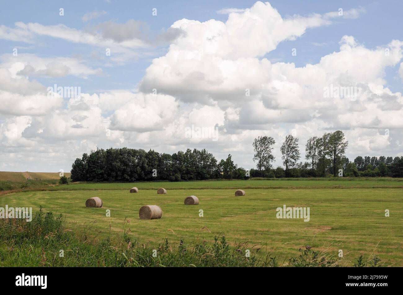 Weener and the river ems in germany Stock Photo - Alamy