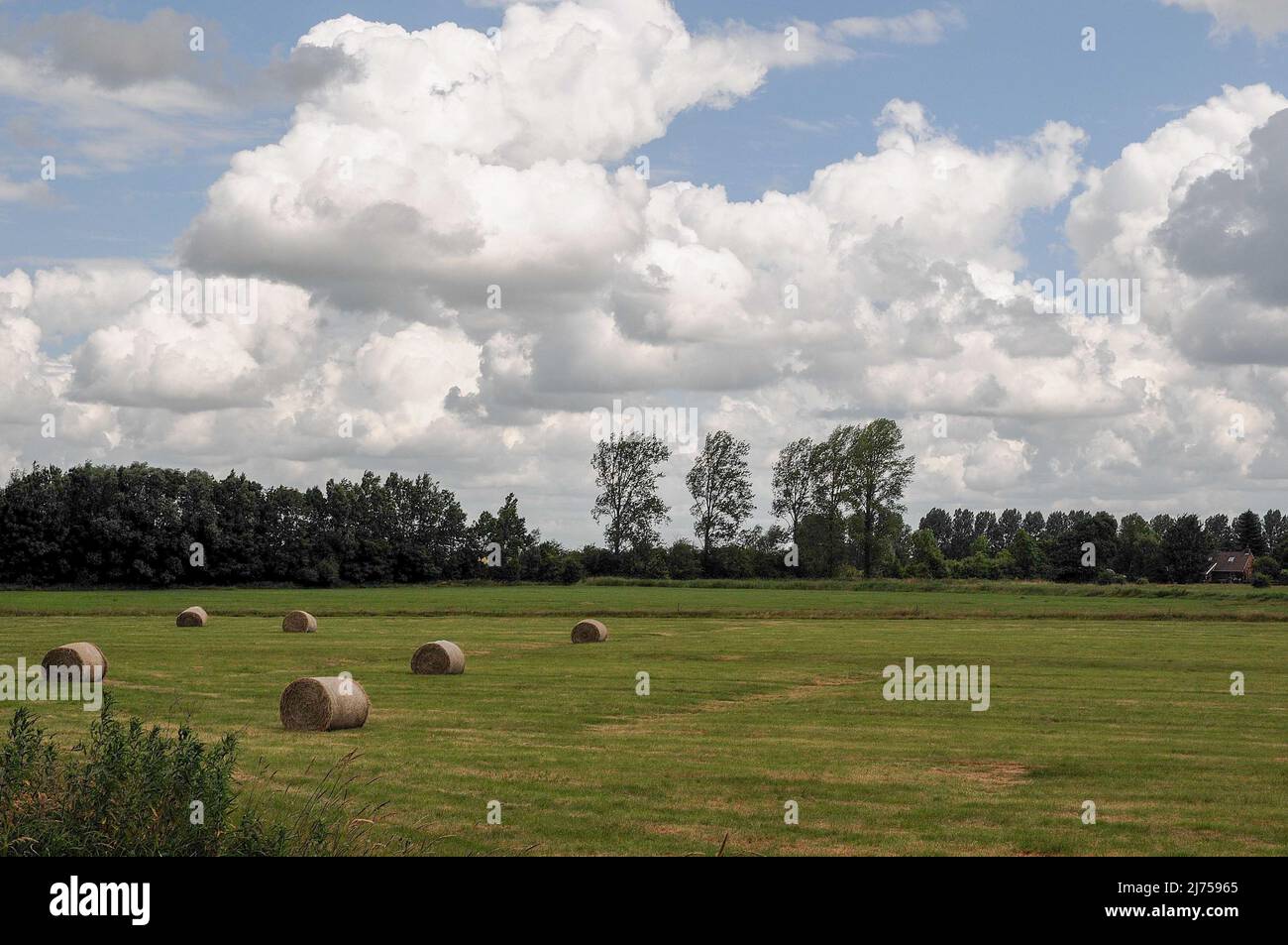 Weener and the river ems in germany Stock Photo - Alamy