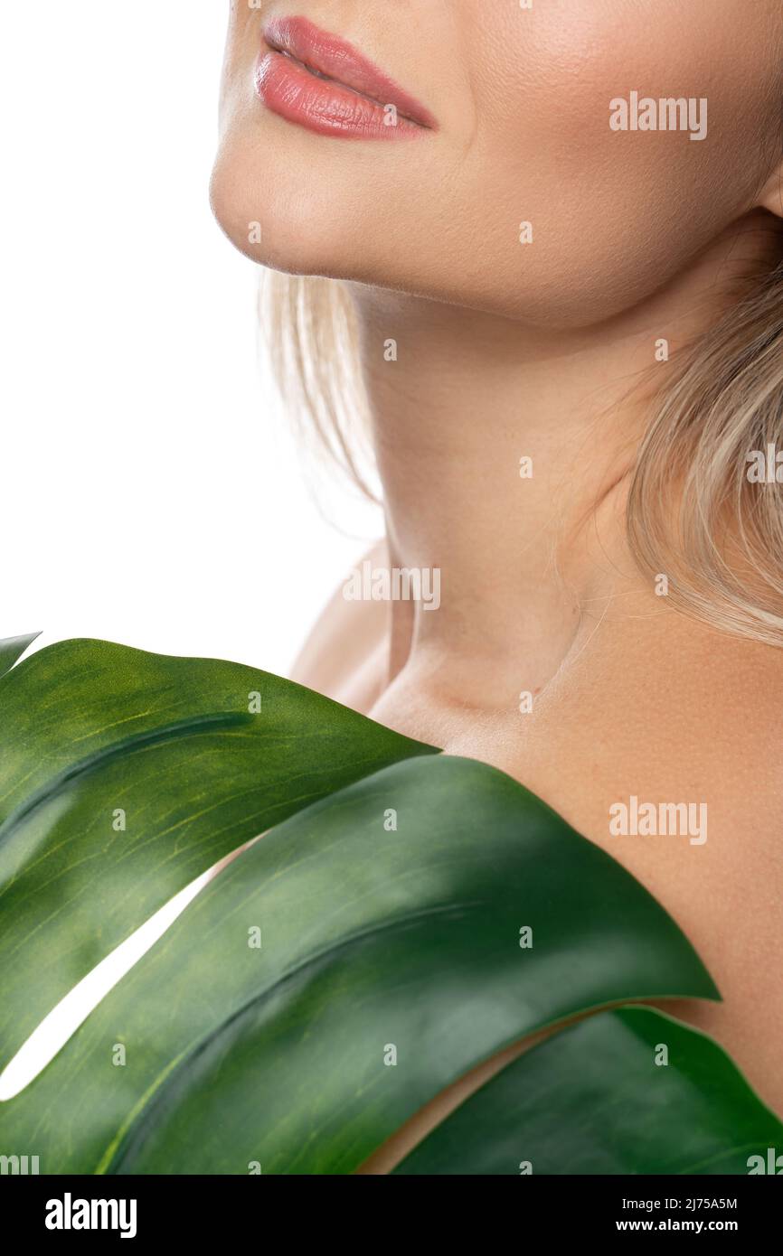 Part of female face with a smooth skin and green tropical leaf Stock ...