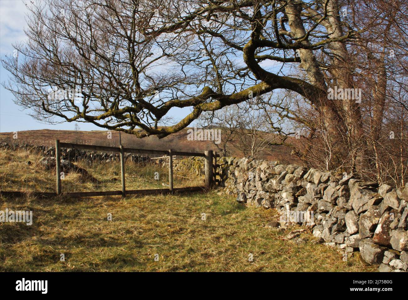 Dalmellington - Scotland Stock Photo - Alamy