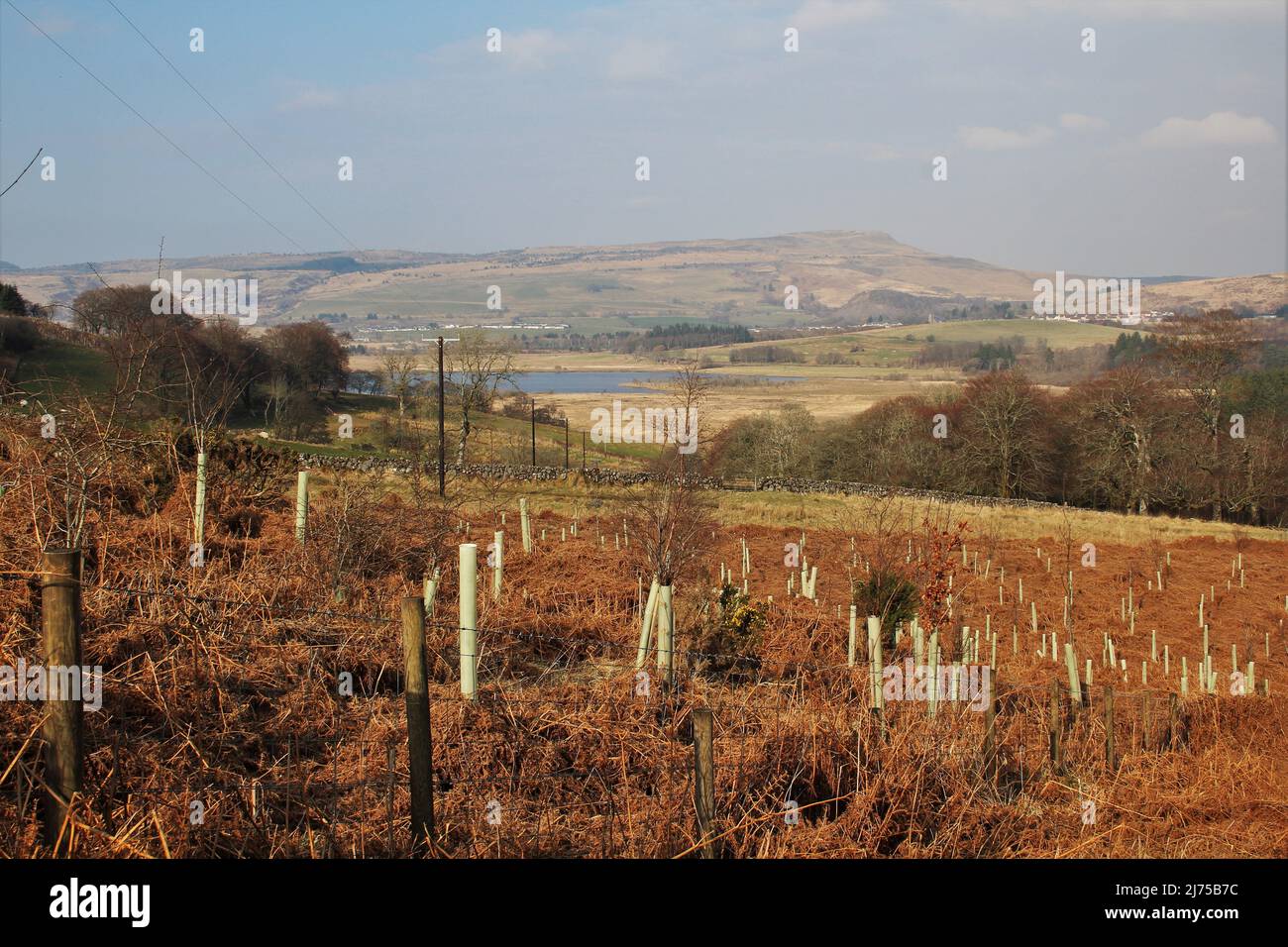 Doon valley scotland hi-res stock photography and images - Alamy
