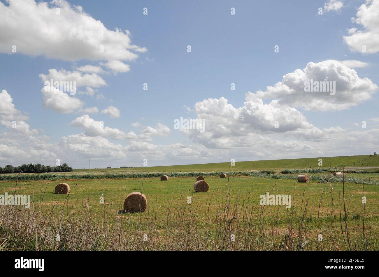 Weener and the river ems in germany Stock Photo - Alamy