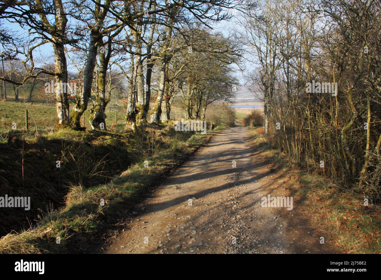 Dalmellington hi-res stock photography and images - Alamy