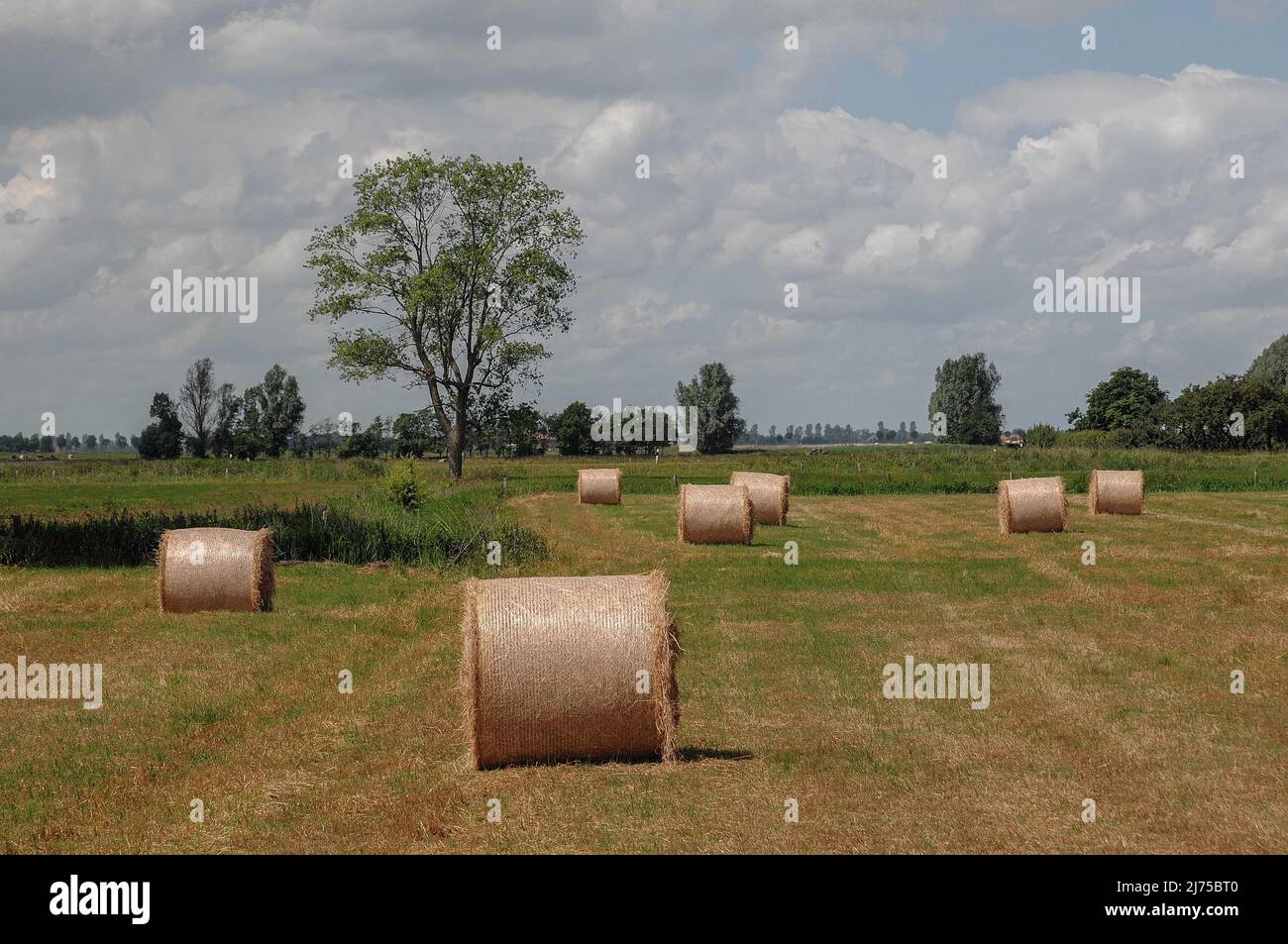 Weener and the river ems in germany Stock Photo - Alamy