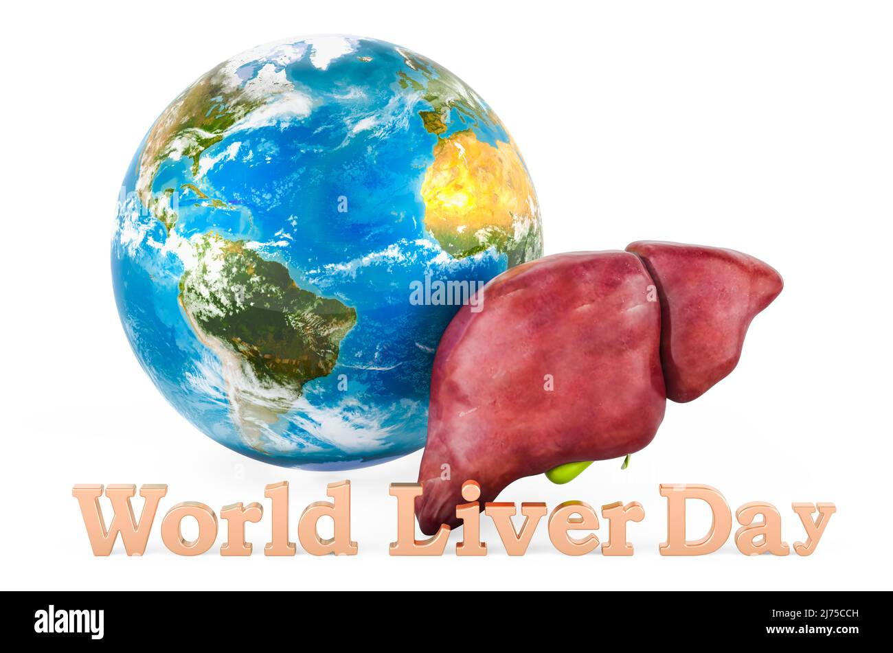 Human liver with Earth Globe. World liver day concept, 3D rendering ...