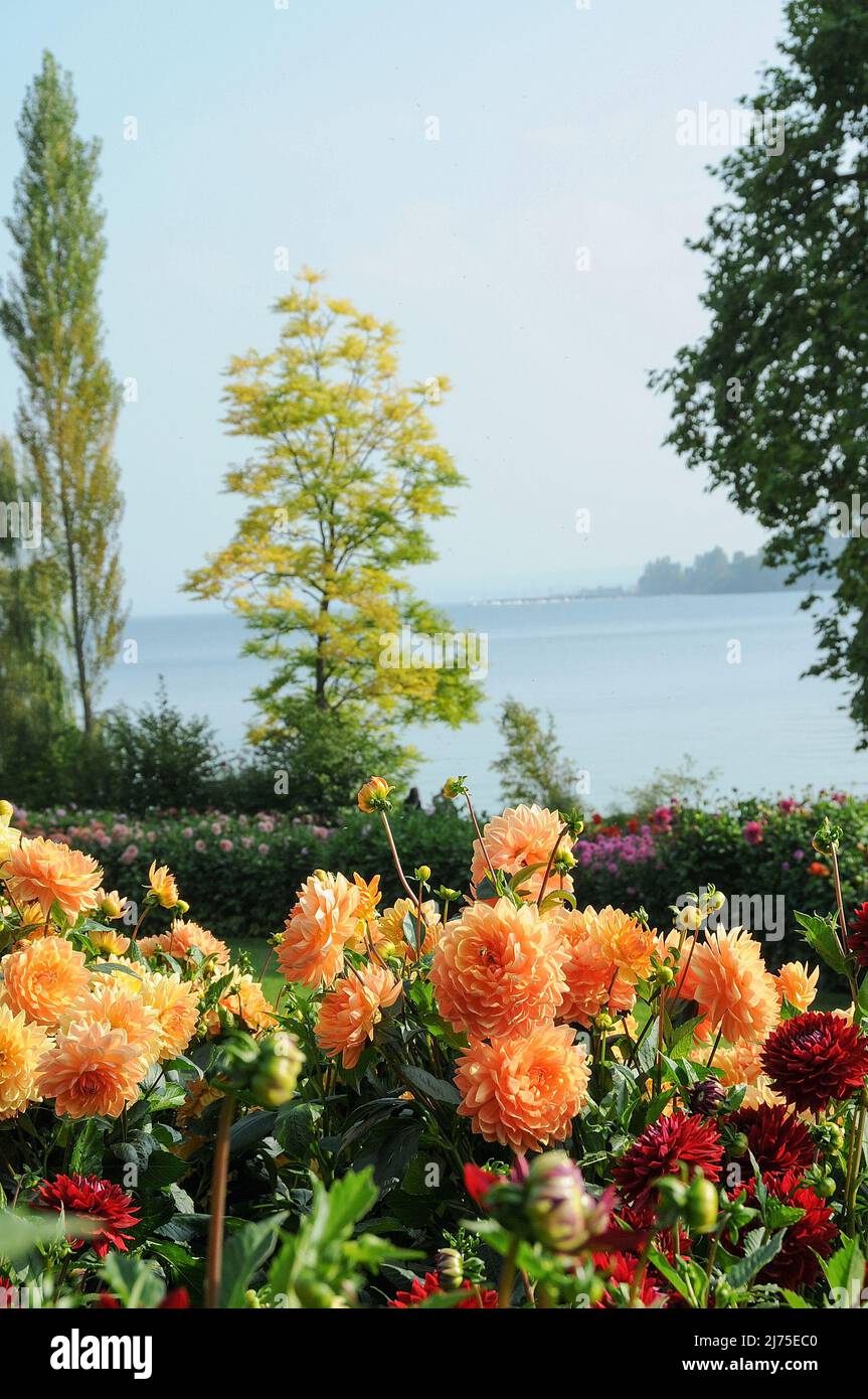 the lake constance in germany Stock Photo - Alamy