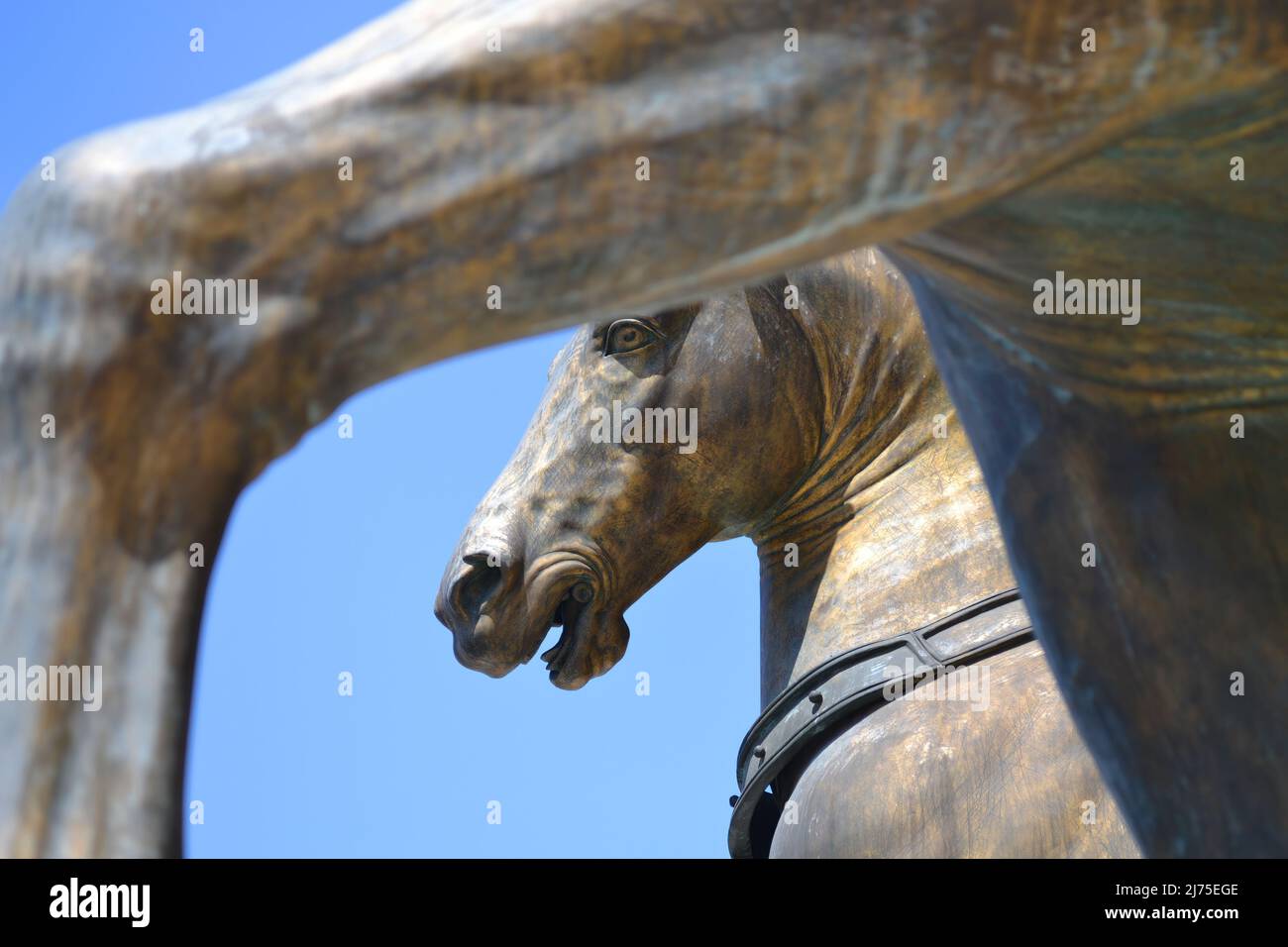 Venice, Italy - May 17, 2011: Ancient bronze horses inside Basilica di San Marco in Venice ...