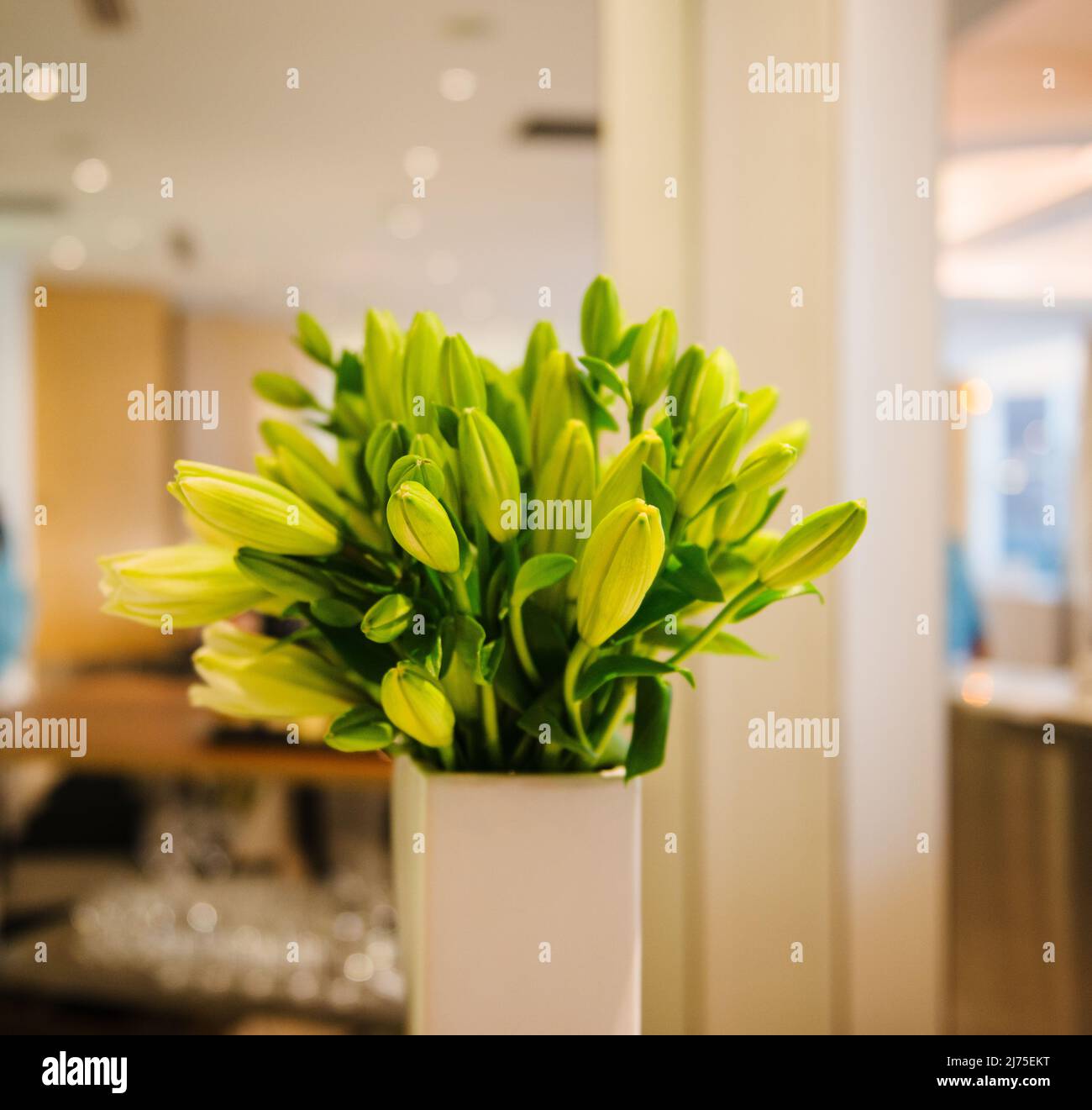 Spring flowers in a restaurant setting Stock Photo - Alamy