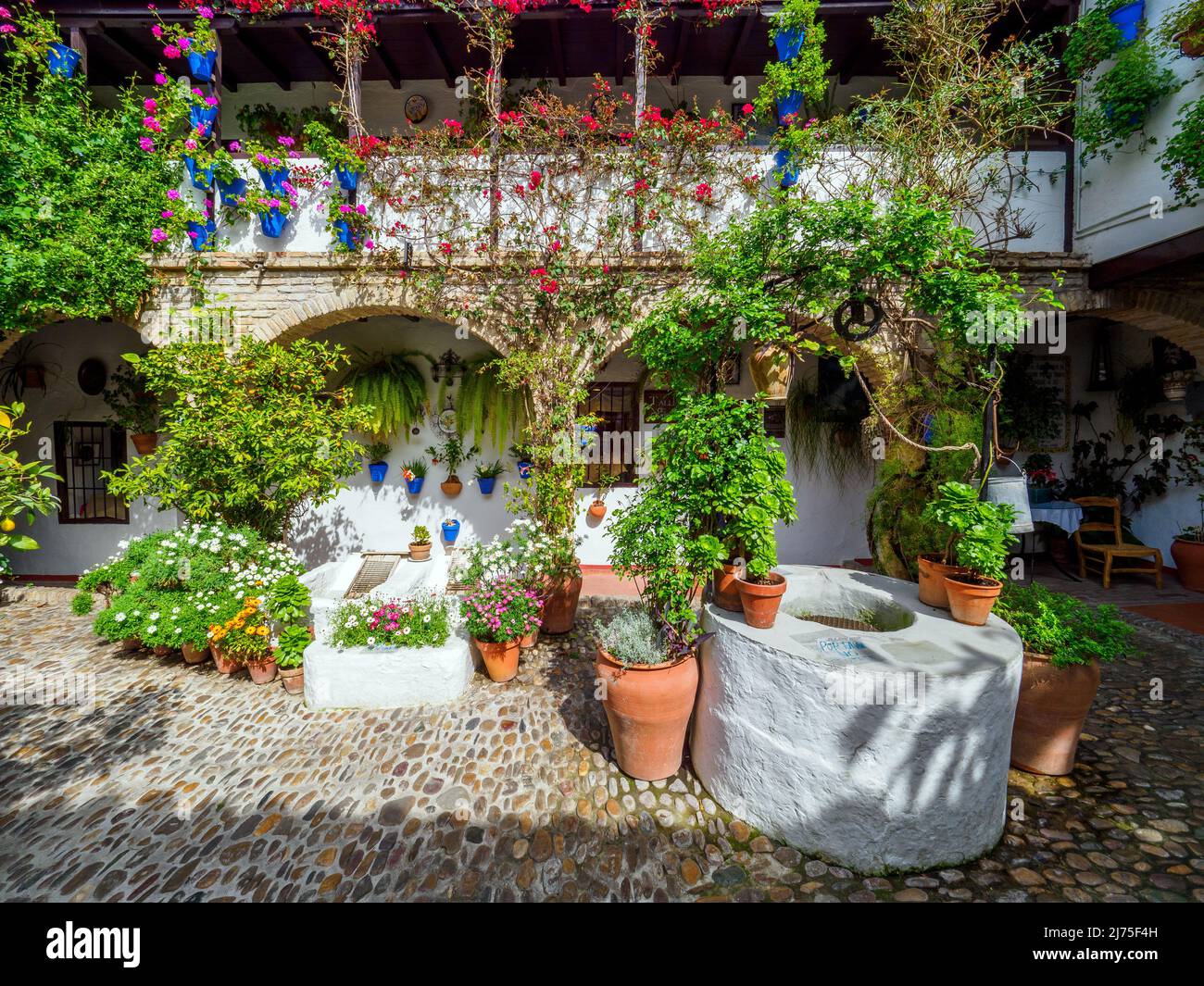 Traditional Andalusian courtyard full of plants and flowers in the old ...