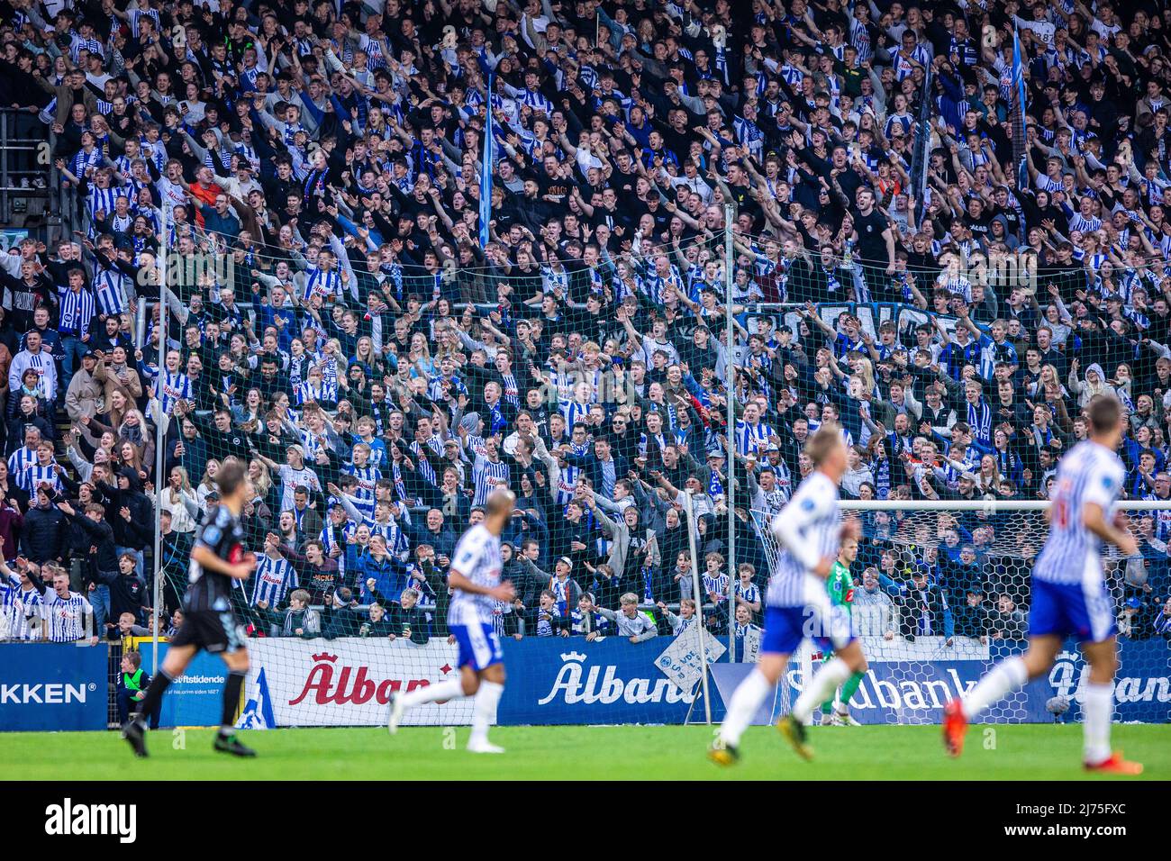 Odense, Denmark. 05th, May 2022. Football fans of OB seen on the stands ...