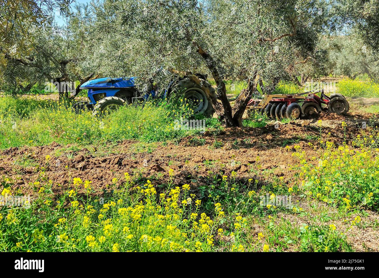 Tractor performing tasks hi-res stock photography and images - Alamy
