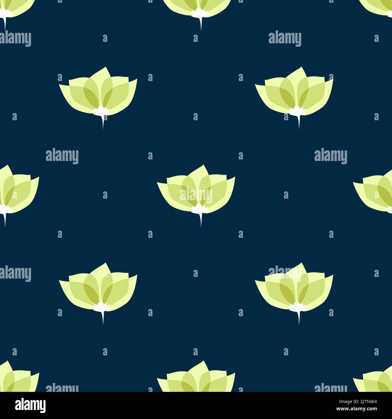 blossom yellow flower isolated on dark blue background is in Seamless ...