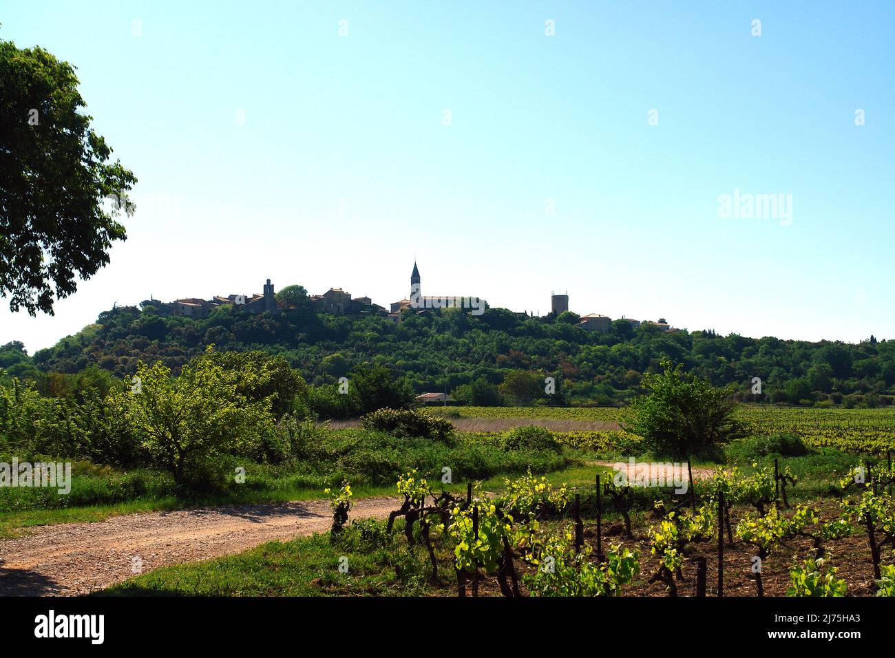 Typical Provençal perched village of Castillon du Gard near the Pont du ...