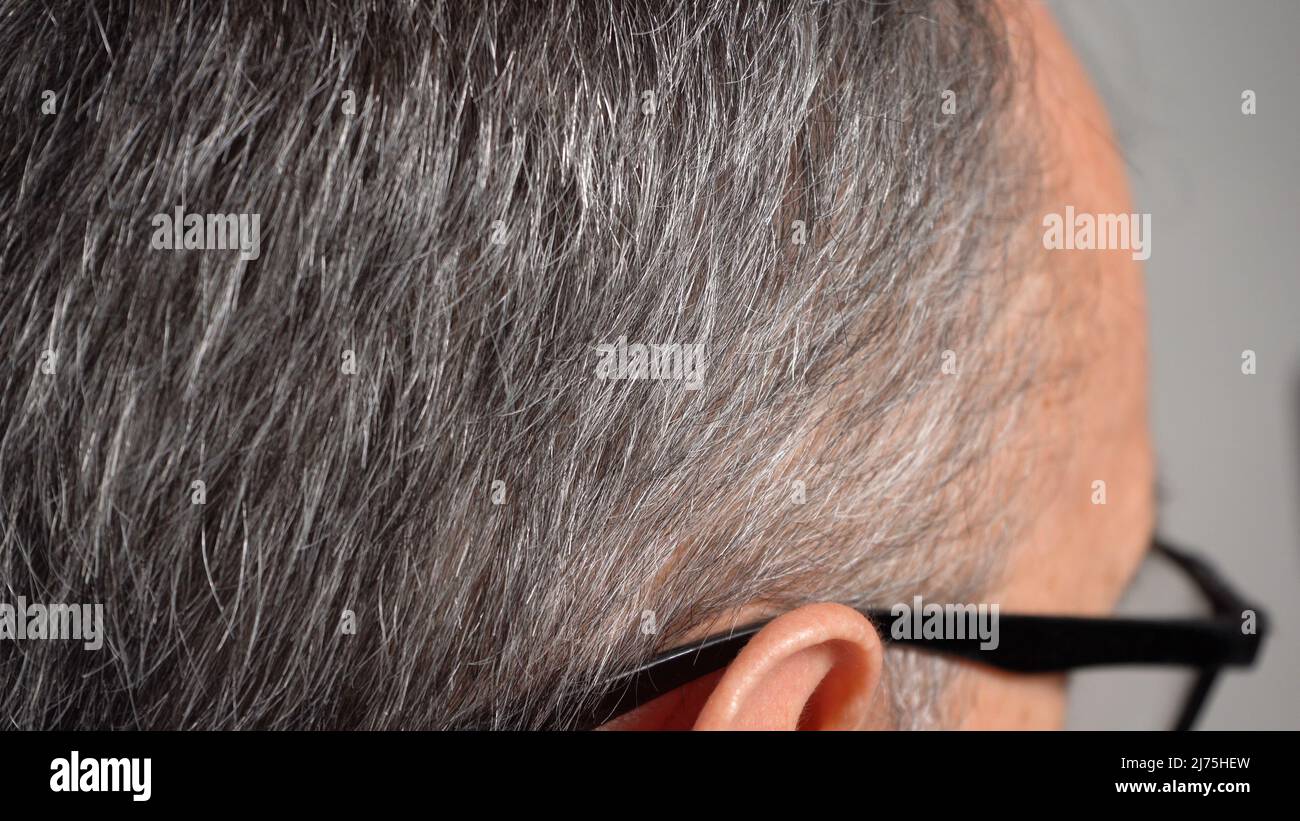 Gray hair on a man's head Stock Photo - Alamy