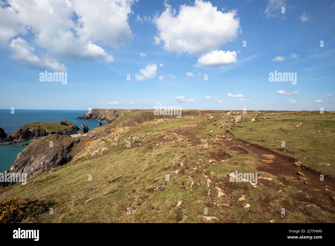 Stunning Landscape in Kynance Cove, Cornwall,UK Stock Photo - Alamy