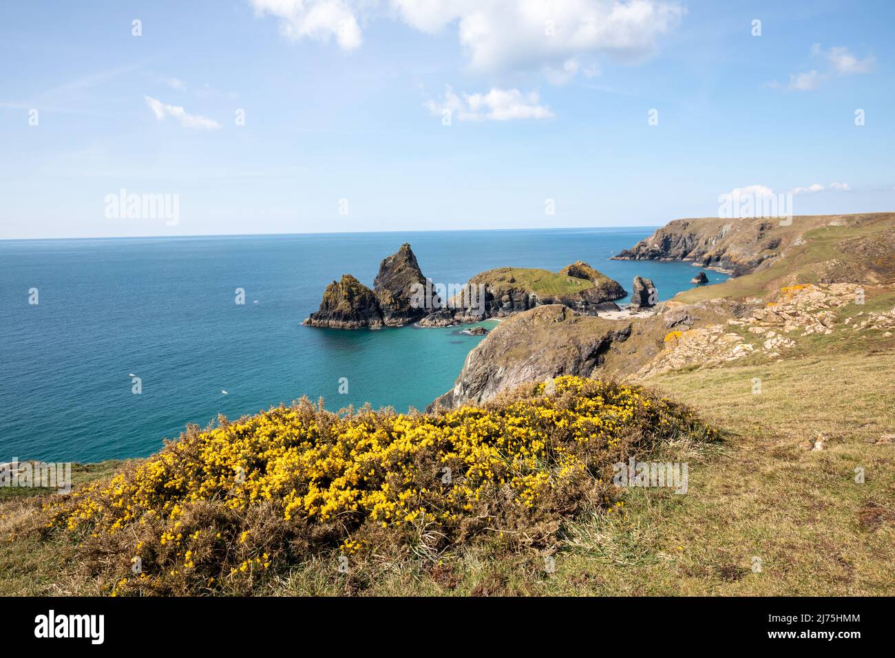 Stunning Landscape in Kynance Cove, Cornwall,UK Stock Photo - Alamy