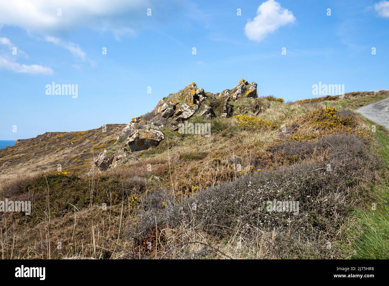 Stunning Landscape in Kynance Cove, Cornwall,UK Stock Photo - Alamy
