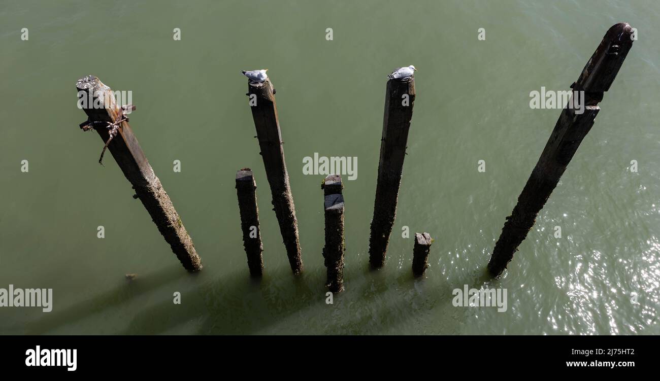 Pier columns hi-res stock photography and images - Alamy