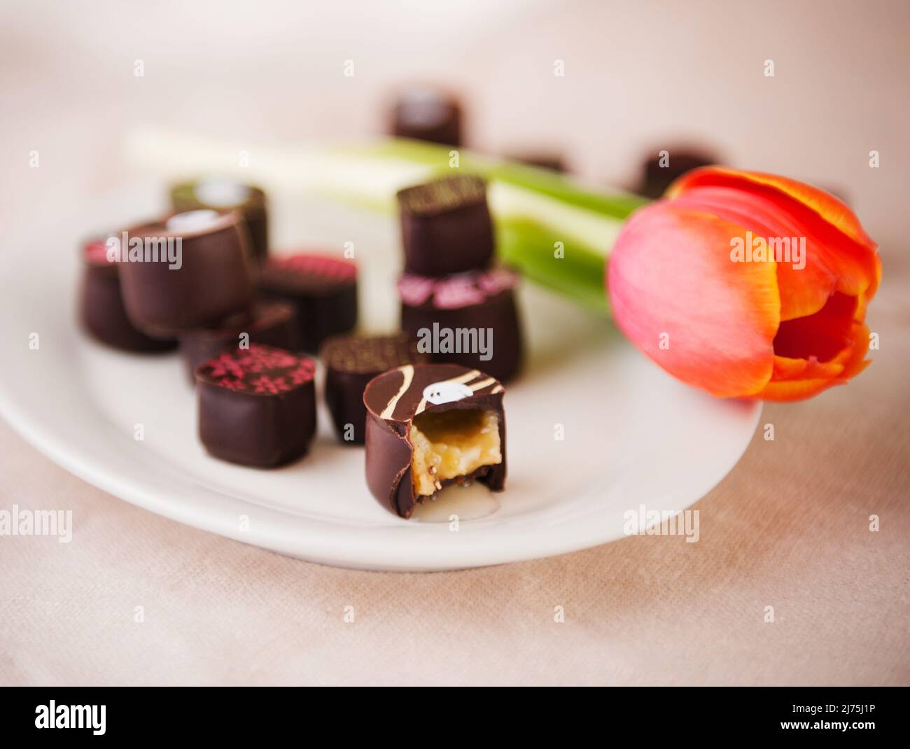 Gourmet Spring Chocolate with a Tulip; From Above Stock Photo - Alamy