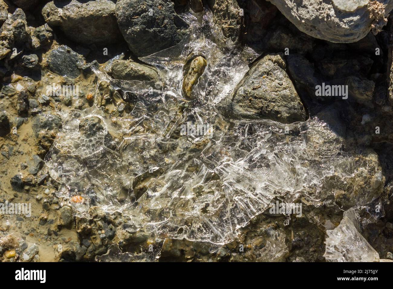 Texture and detail of broken fragments of ice trapped between the ...