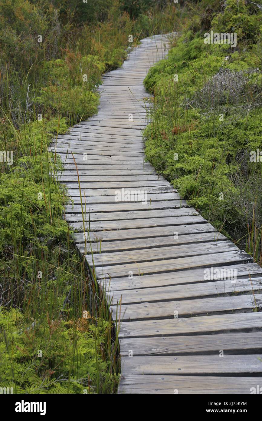 Boardwals hi-res stock photography and images - Alamy