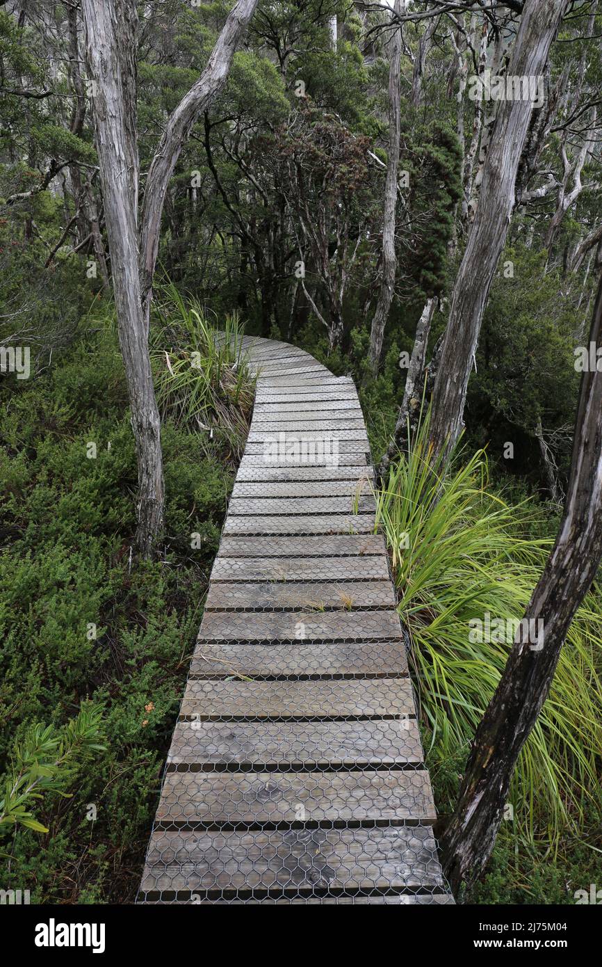 Boardwalk view while hicking in nature Stock Photo - Alamy