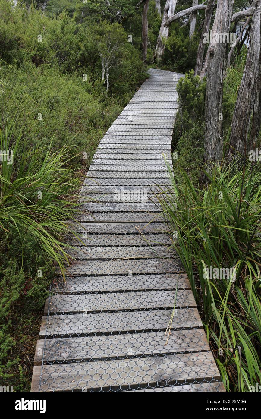 Boardwalk view while hicking in nature Stock Photo - Alamy