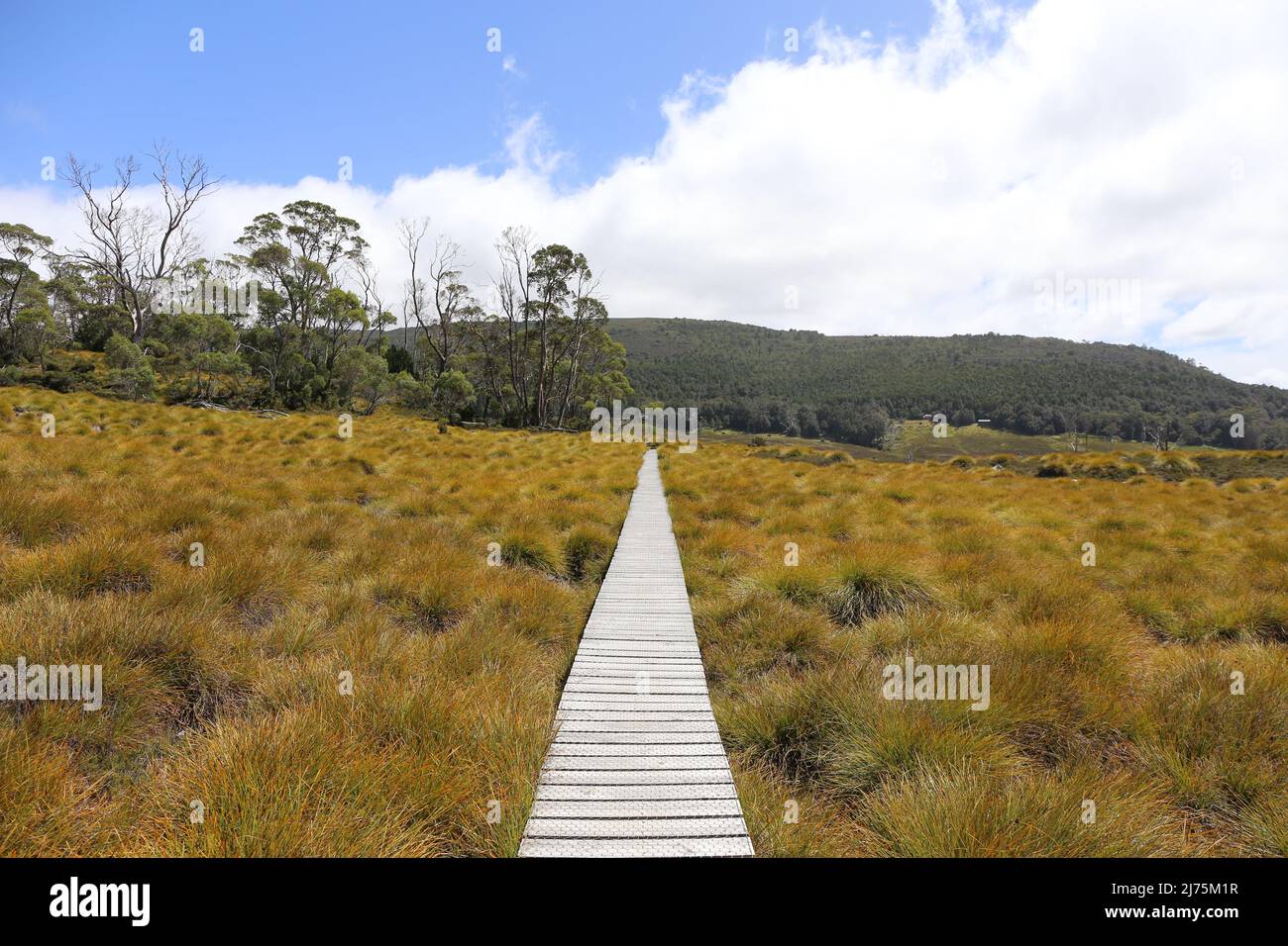 Boardwalk view while hicking in nature Stock Photo - Alamy