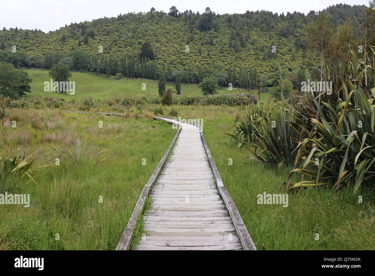 Boardwalk view while hicking in nature Stock Photo - Alamy