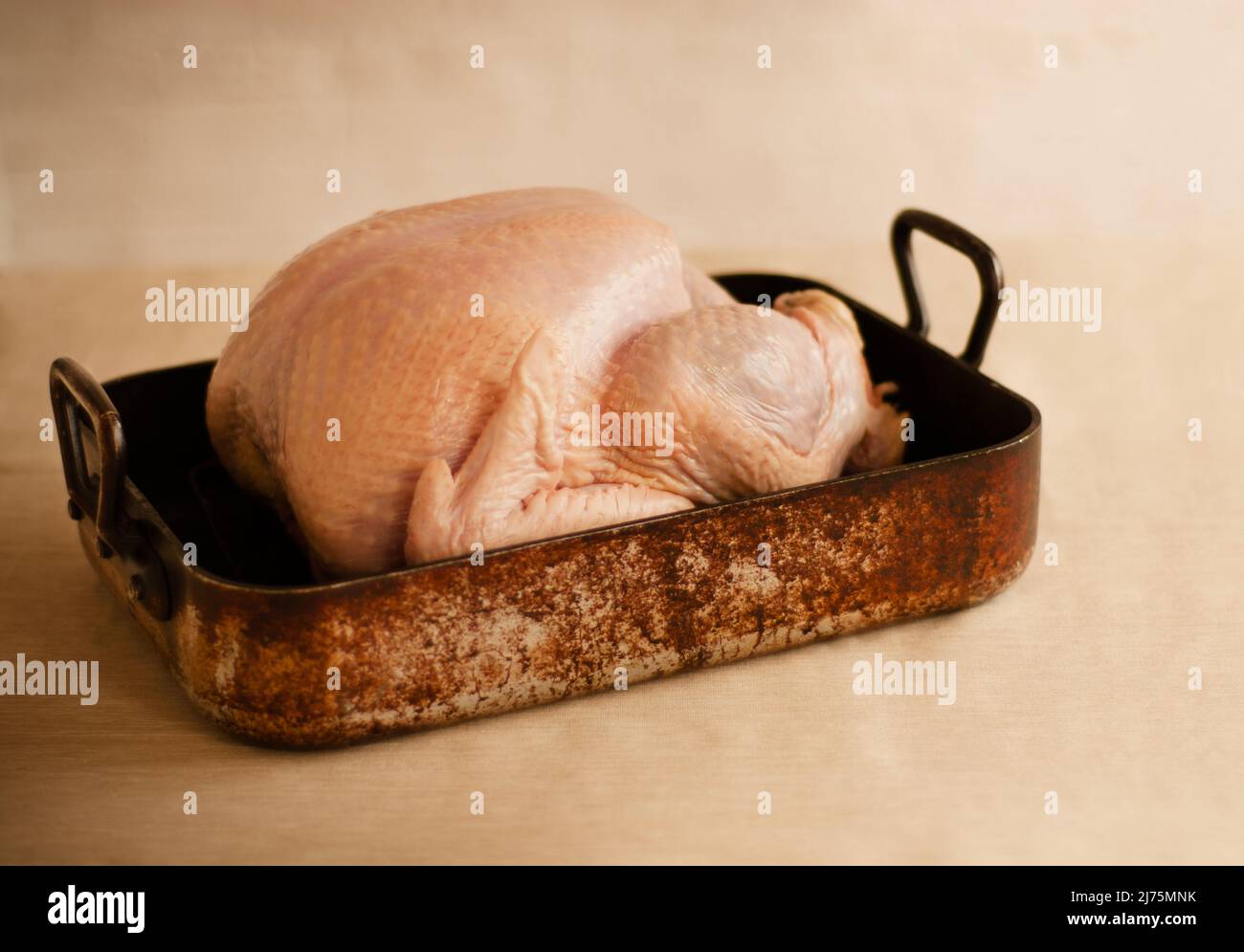 Whole Raw Turkey in a Roasting Pan Stock Photo - Alamy
