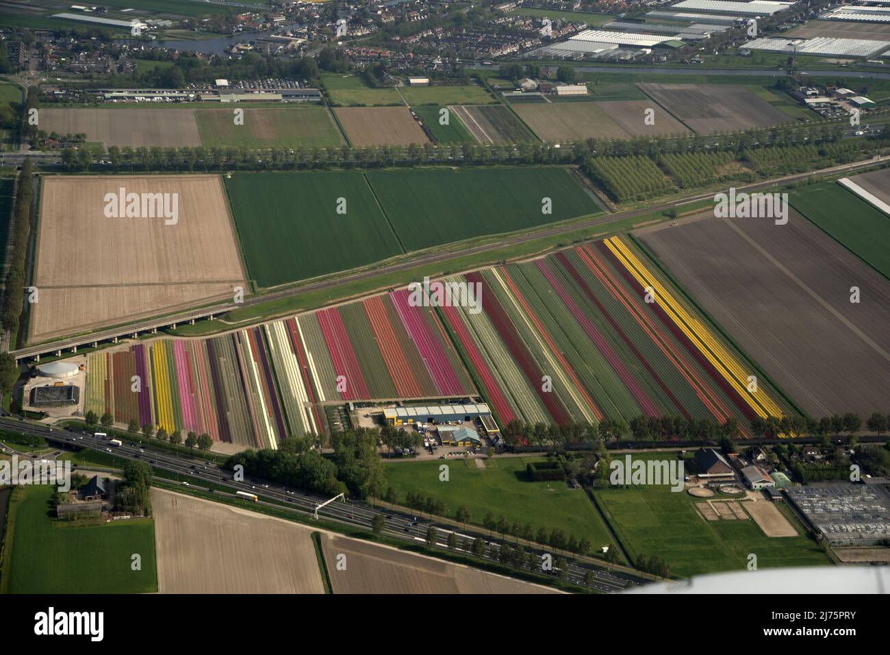 Tulip fields holland aerial hi-res stock photography and images - Alamy