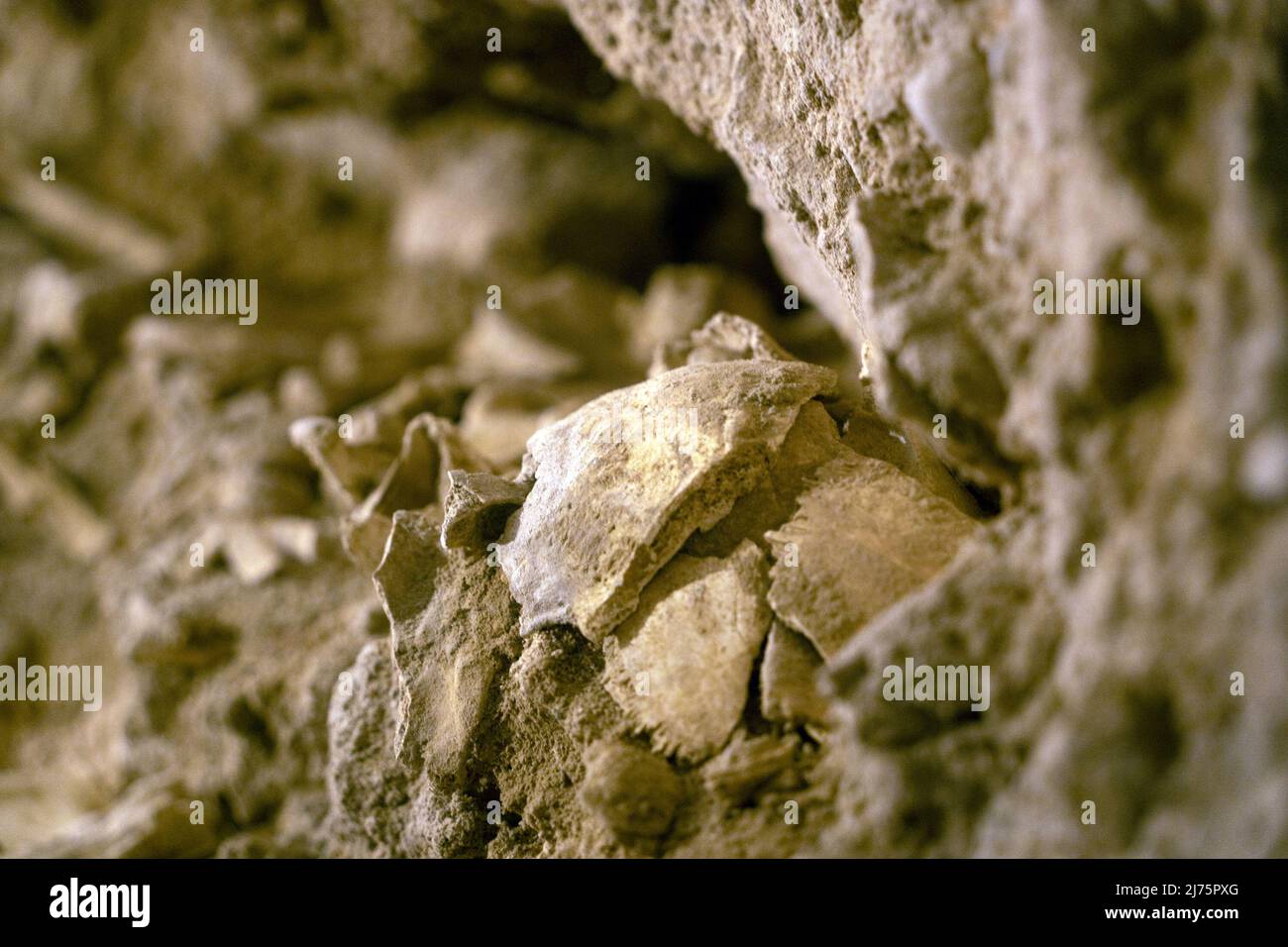 human skull and bones in a crypt Stock Photo - Alamy