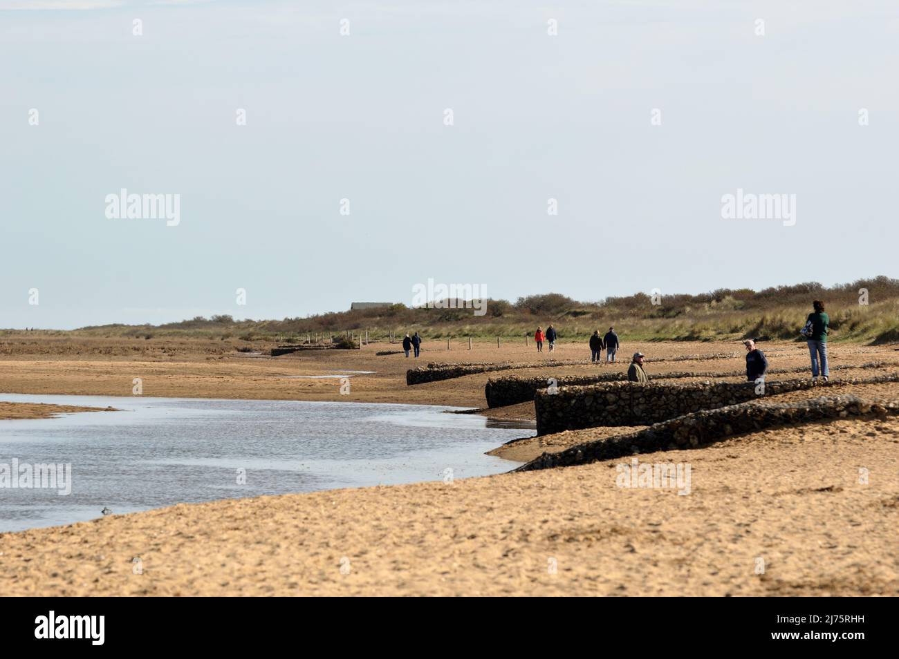 Hunstanton beach dog hi-res stock photography and images - Alamy