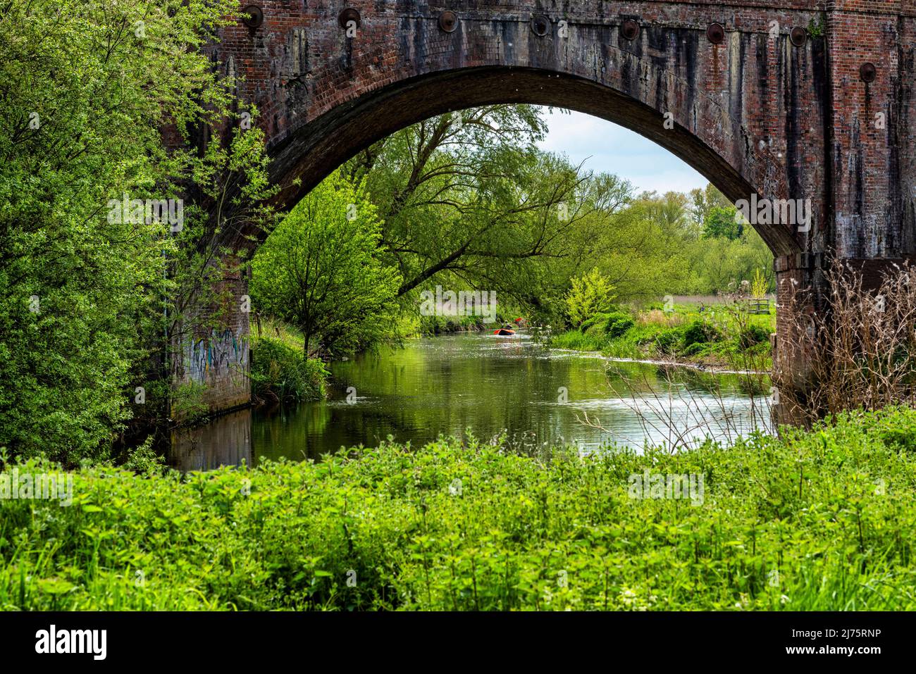 River Stour near Canterbury in Kent, England Stock Photo - Alamy