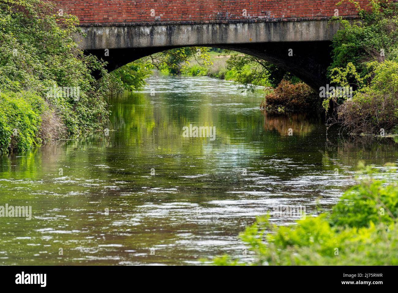 River Stour near Canterbury in Kent, England Stock Photo - Alamy