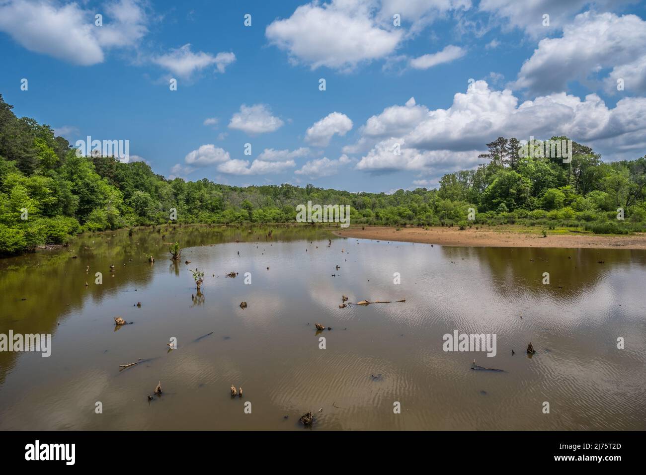 Wide angle view of the large pond with a low water level at the wetland ...