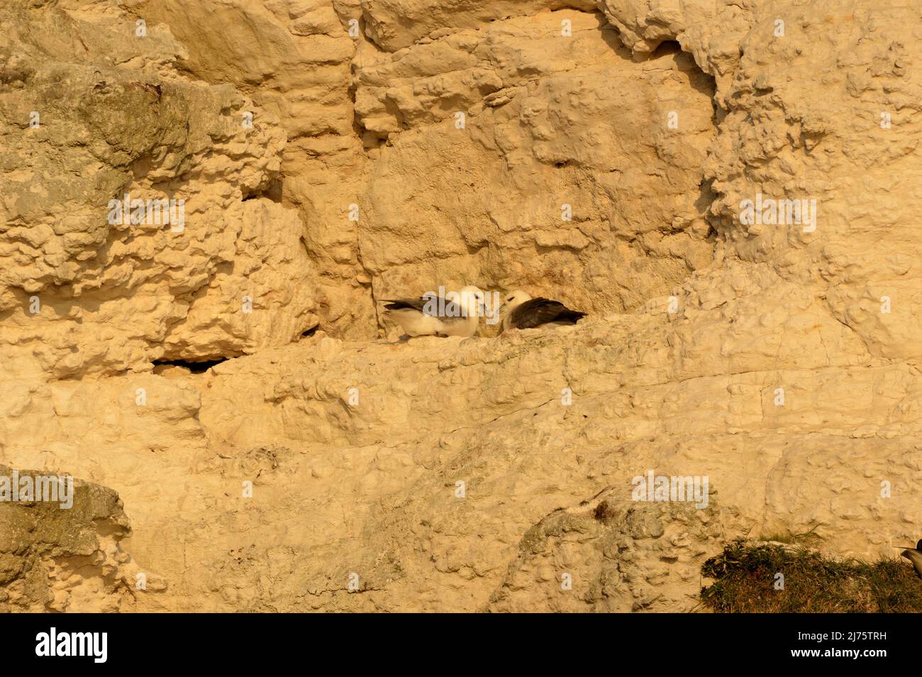 18 april 2021 hi-res stock photography and images - Alamy